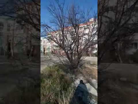 Геленджик, район Северный. Обзор многоквартирного дома по адресу мкр.Северный 49/1