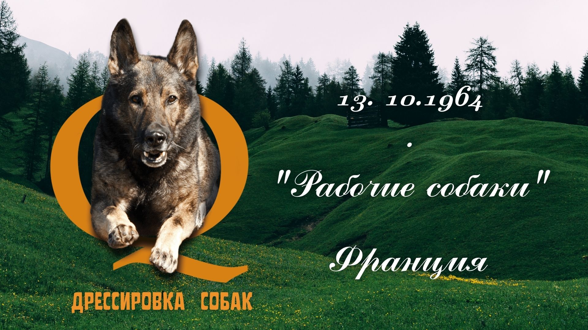 13. 10.1964 "Рабочие собаки",Франция