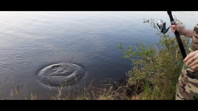 отпускаем малька щуки