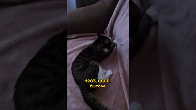 мне из помойки твой суп достать?? ?ПОЛИЦП
