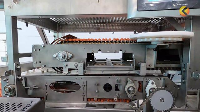 Роботизированный укладчик сосисок в термоформер РУС-500 с последовательными операциями FHD