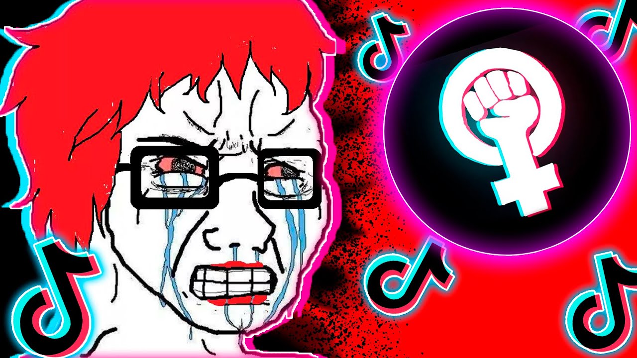 ФЕМКИ АТАКУЮТ ТИК ТОК ! (феминистки тик тока)