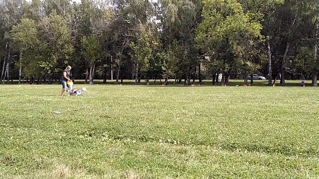 Ксения и бордер-колли Зеро. Фризби-Фристайл..mp4