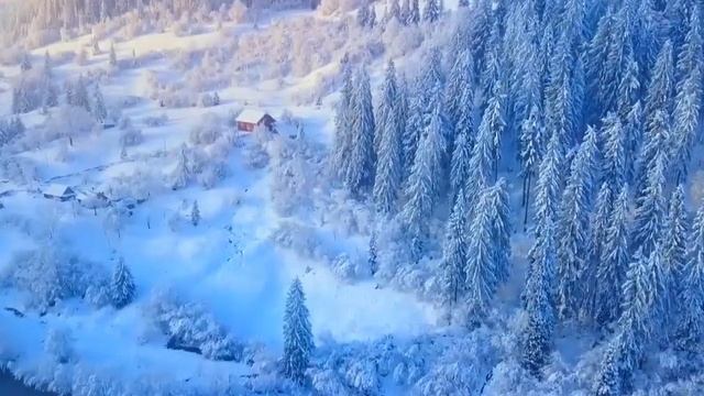 Когда бушует жизнь. Христианские песни