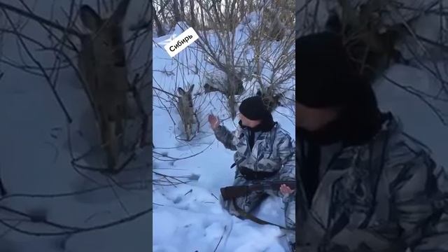 Невероятный случай на охоте.
