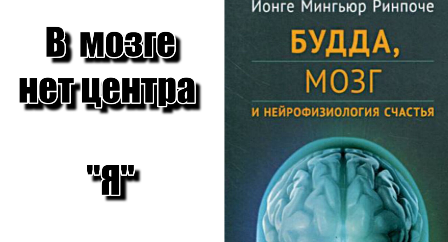 3-ая часть #Мозг #нейрофизиология #буддизм #наука #ум #Йонге #Мингьюр #Ринпоче
