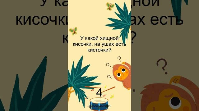 У какой хищной кисочки, на ушах есть кисточки?