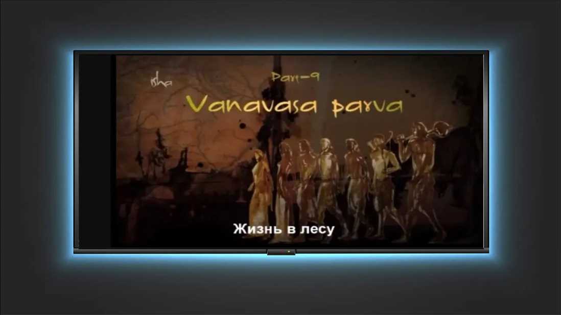 Махабхарата. 9 серия. Жизнь в лесу (9- 15) (Садгуру)