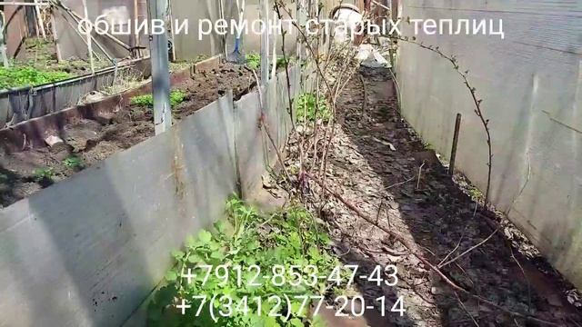 СНТ " Ижсталь - 1 Обшив и ремонт старых теплиц в г. Ижевске +7912-853-47-43 или +7(3412)77-20-14