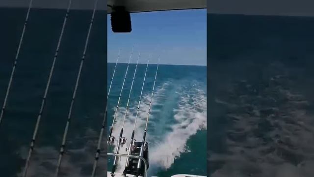 НОВОМИХАЙЛОВСКИЙ 2022, МОРСКАЯ ПРОГУЛКА..mp4