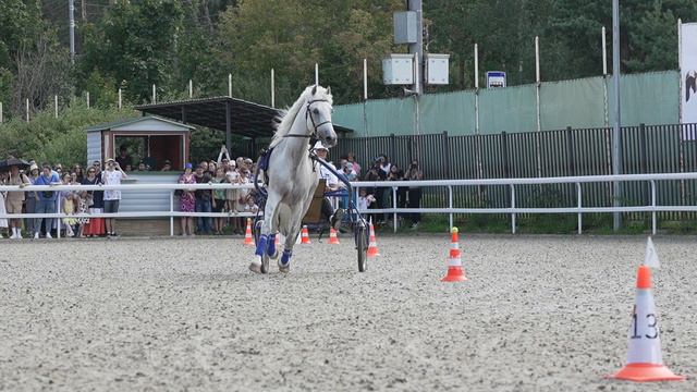 IV Чемпионат русских троек "Крылатое сердце России" на Московском конном заводе №1