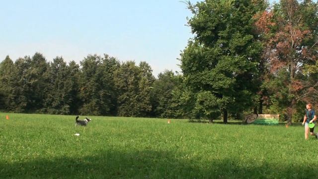 Фризби фристайл - Ольга и Манго.mp4