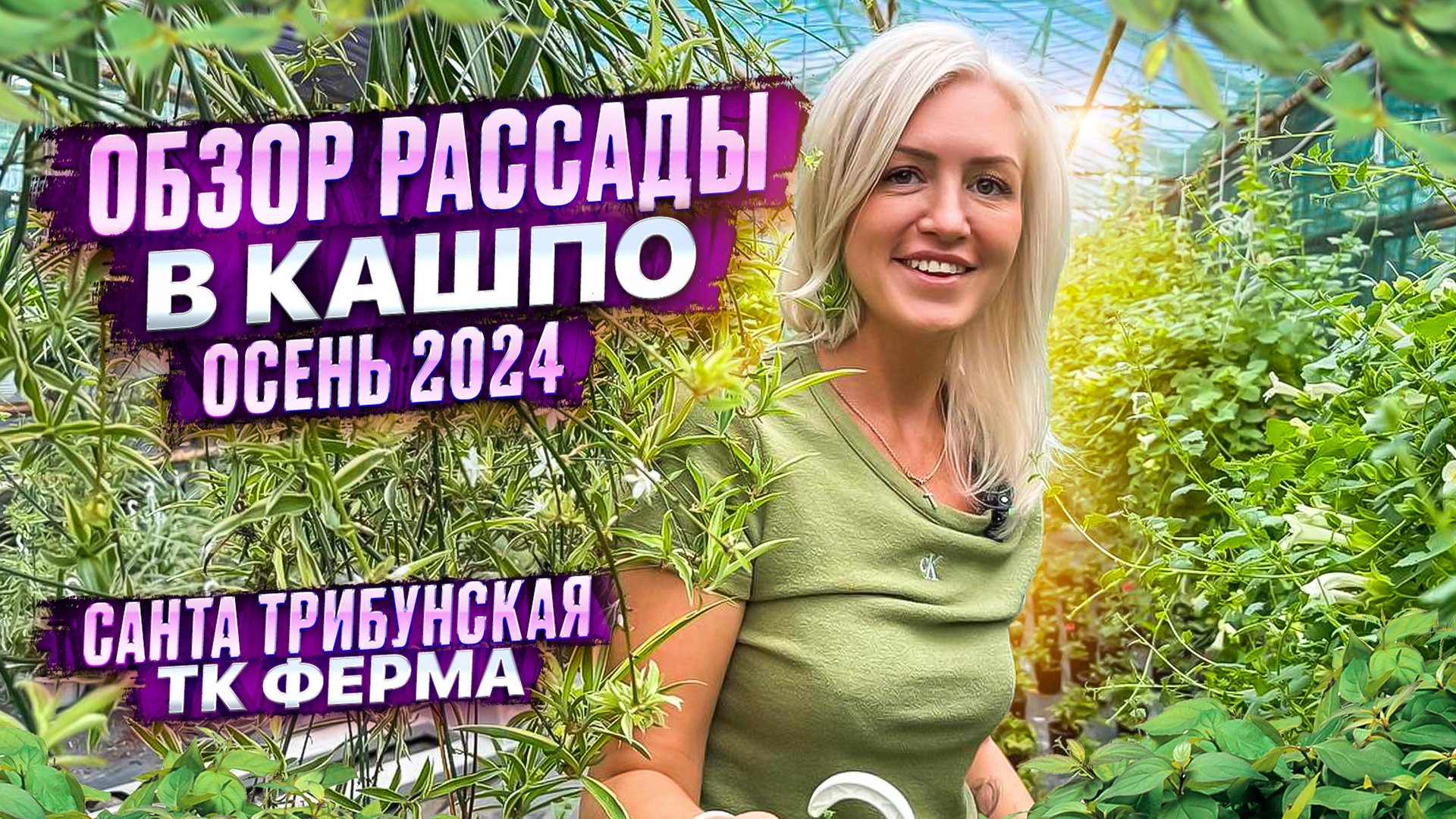 РАССАДА В КАШПО. ОСЕНЬ 2024