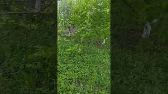 Отзыв Романа о курсе: Как мужчине быстро восстановиться после расставания.