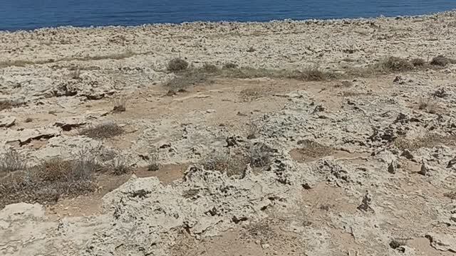 Дно древнего океана на побережье Северного Кипра