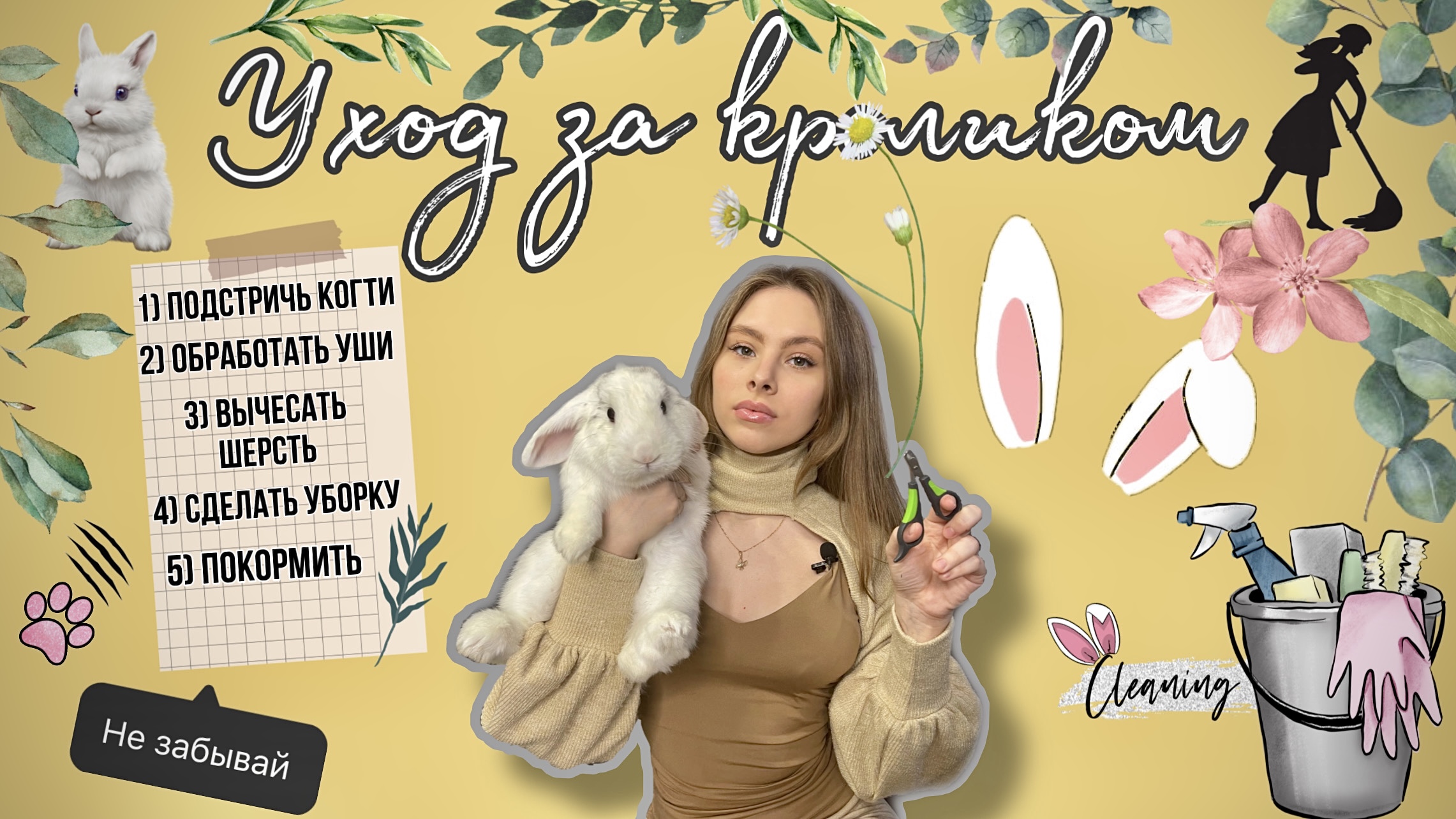 Основной уход за кроликами.