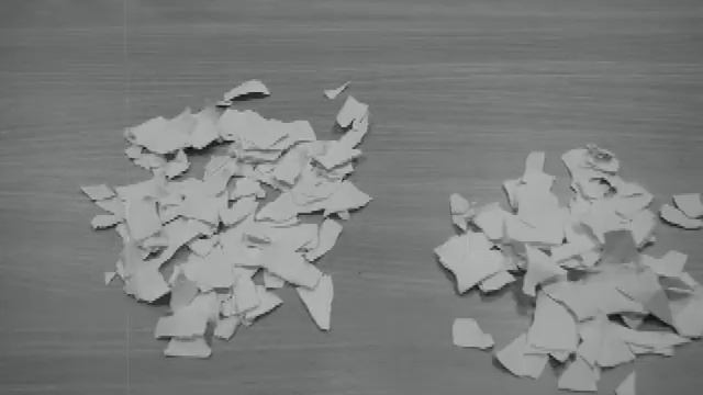 Хризантема