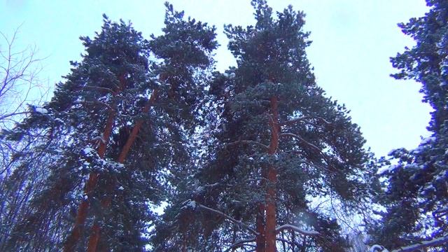 Медитпция 173