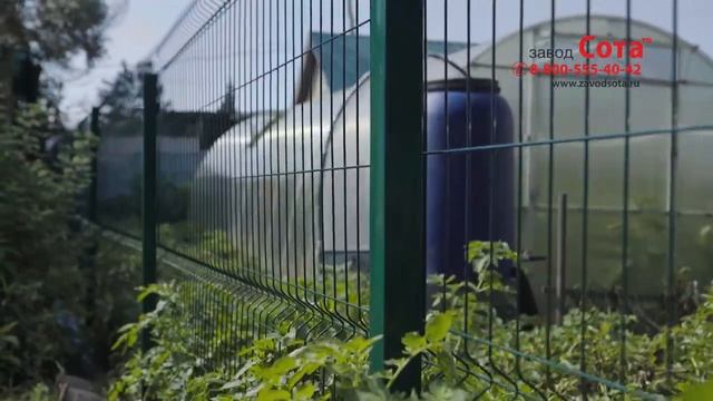 Прозрачный, но надежный: зЗабор из жесткой сварной сетки