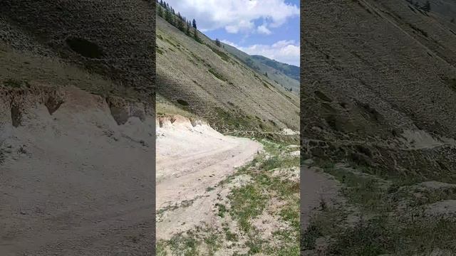 Беркут над степью Самаха и рекой Аргут.