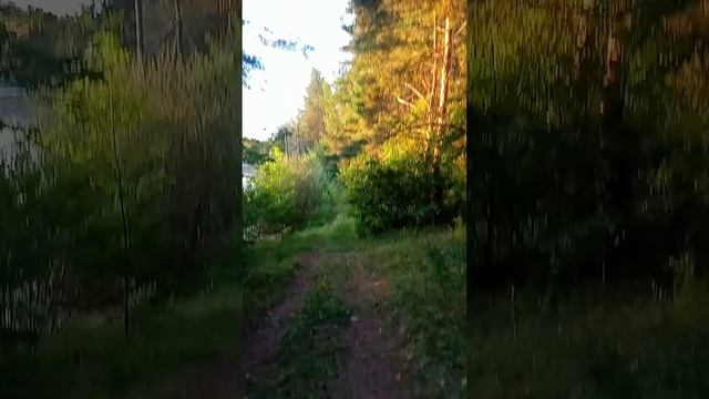 База отдыха "Карельская", Рузаевский район. 
июль 2022