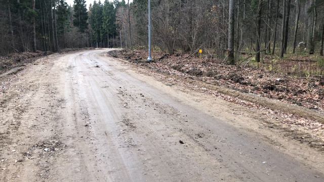 Строительство дороги в лесу на Сабурово ч2