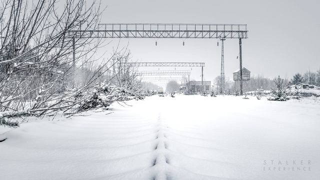Сталкер топ релакс фм  музыка  Подпишись не пропускай новинки #stalker  #релакс