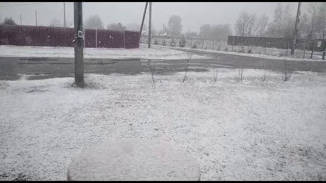 VID-003 Началась зима в Финеево в апреле .mp4
