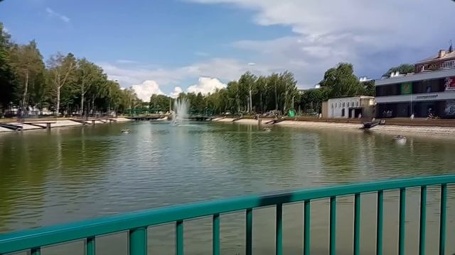 моё видео.mp4