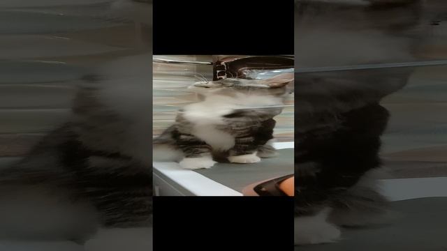 Pretty womanКрасотка