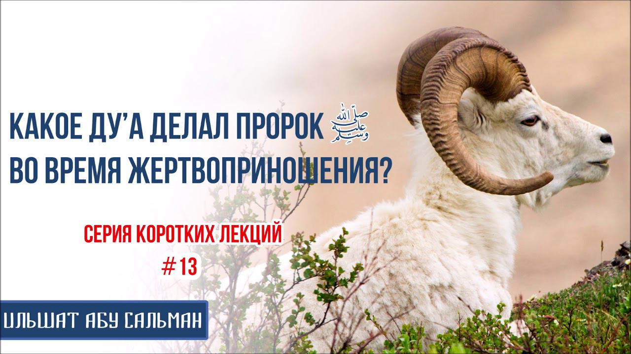 Ильшат Абу Сальман. Какое ду’а делал пророк во время жертвоприношения? Серия лекций Курбан-Байрам