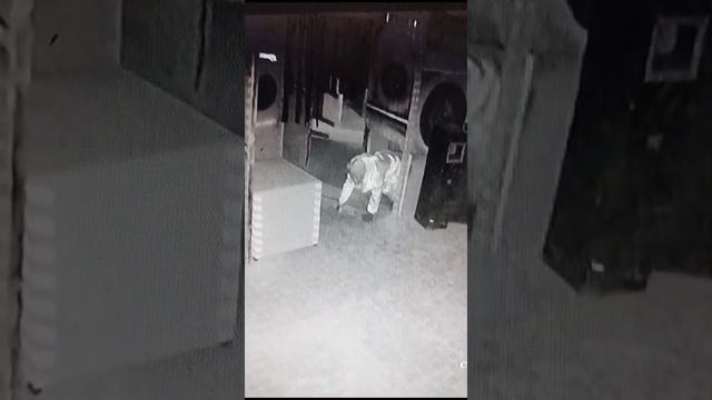 Типичные будни в Перфоманс