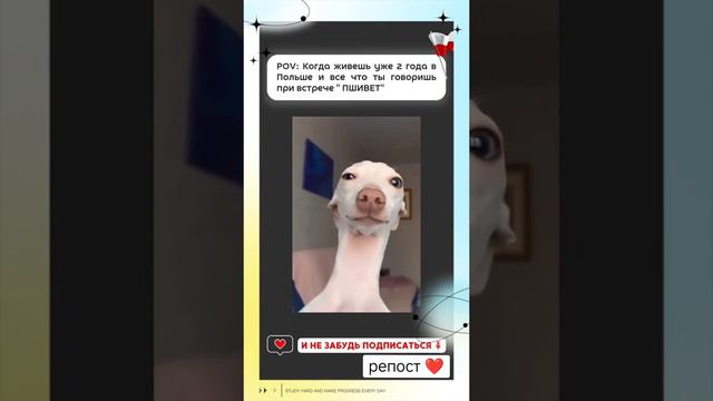 Знакомо? 😂