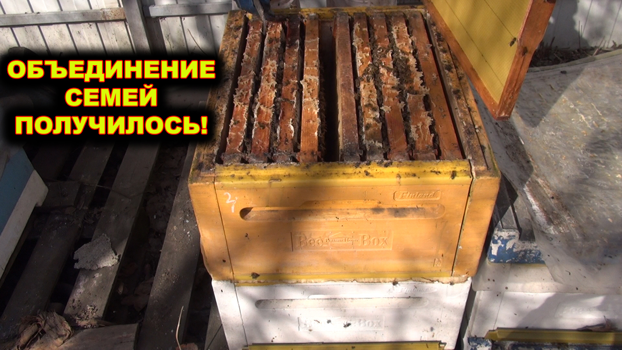 Удачное объединение семей весной.