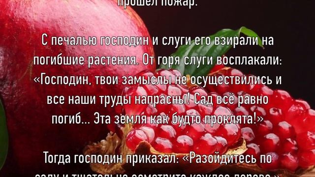 Притча о мудром садовнике