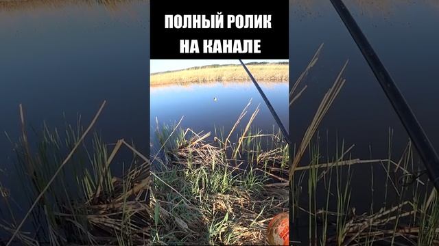 Рыбалка на Оше