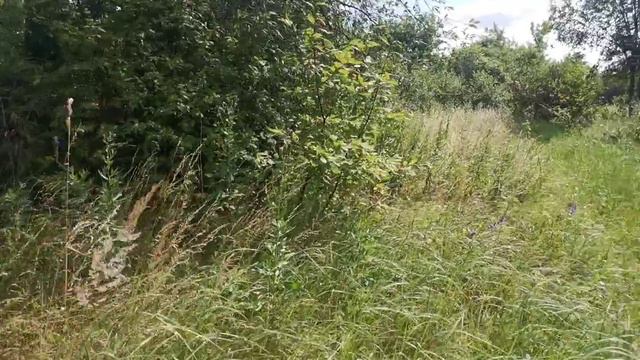 Разбор заброшки, часть 3, 2021