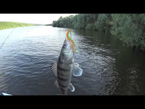 Ока рыбалка на судака с лодки летом 2022.