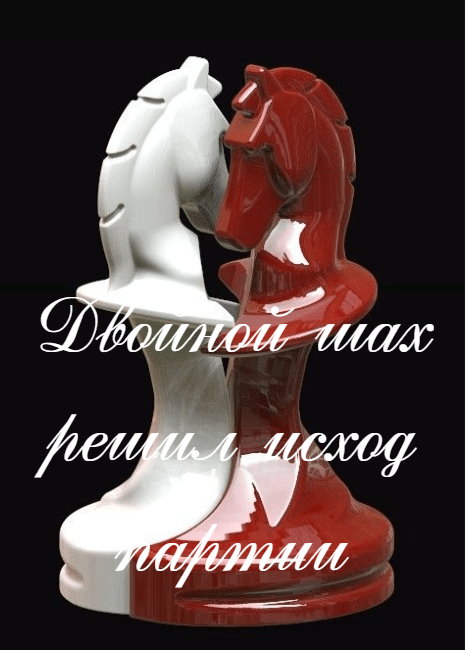 Двойной шах решил исход партии