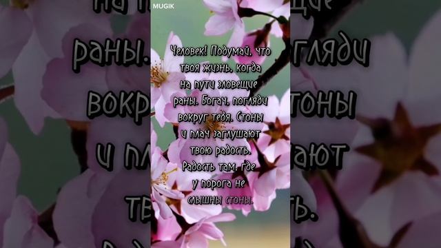 Сергей Есенин. Цитаты. Когда коротко и по делу #4