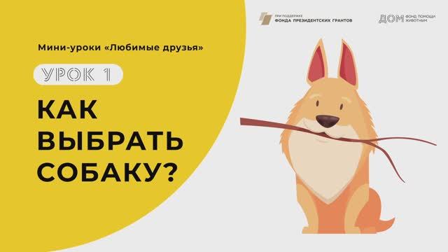 Цикл «Любимые друзья». Урок №1. Как выбрать собаку?