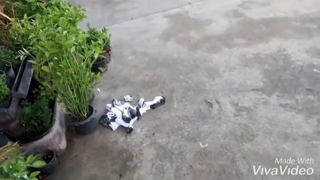 Что такое учитель английского в Таиланде