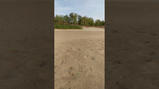 VID_20210919_161640.mp4