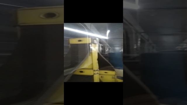 Перегон проспект "Славы" - "Дунайская".mp4