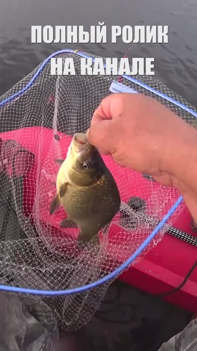 Карась с лодки