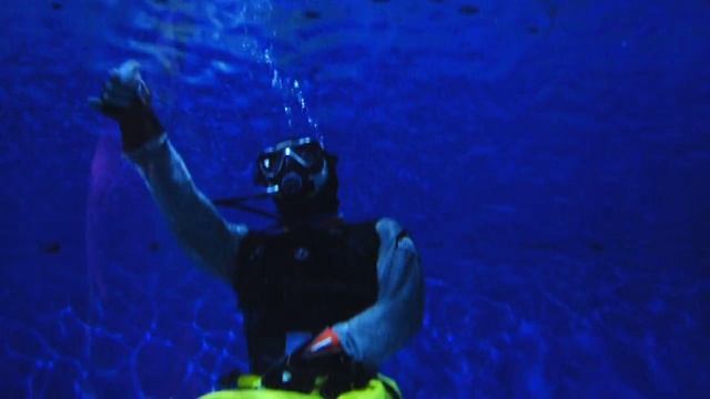 КОРМЛЕНИЕ СКАТА во ВЛАДИВОСТОКСОМ ОКЕАНАРИУМЕ