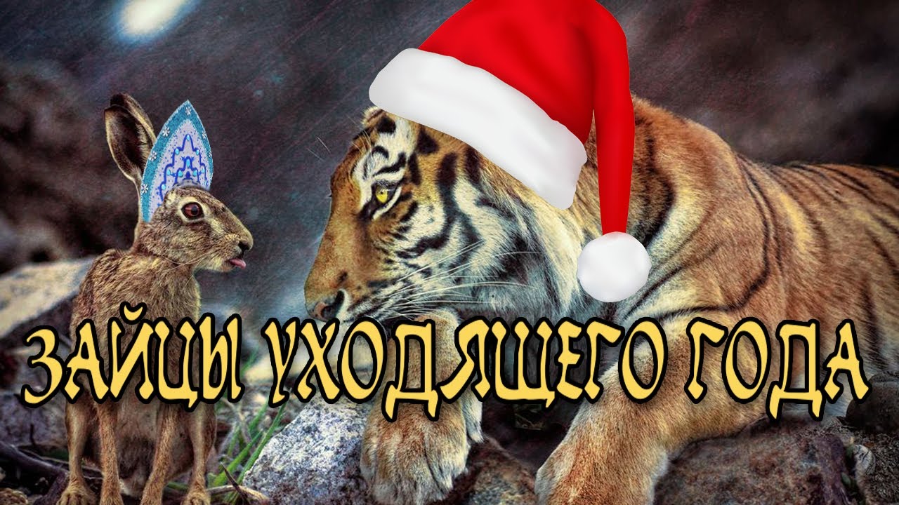 Охота на зайца. Трофеи уходящего года.