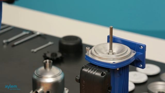 Lowara e-HM / Ремонт 1