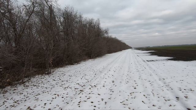 Охота на зайца, по снегу и без снега.