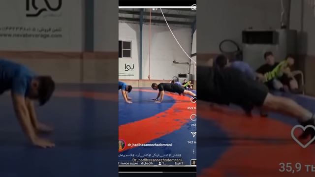 Борцовская акробатика